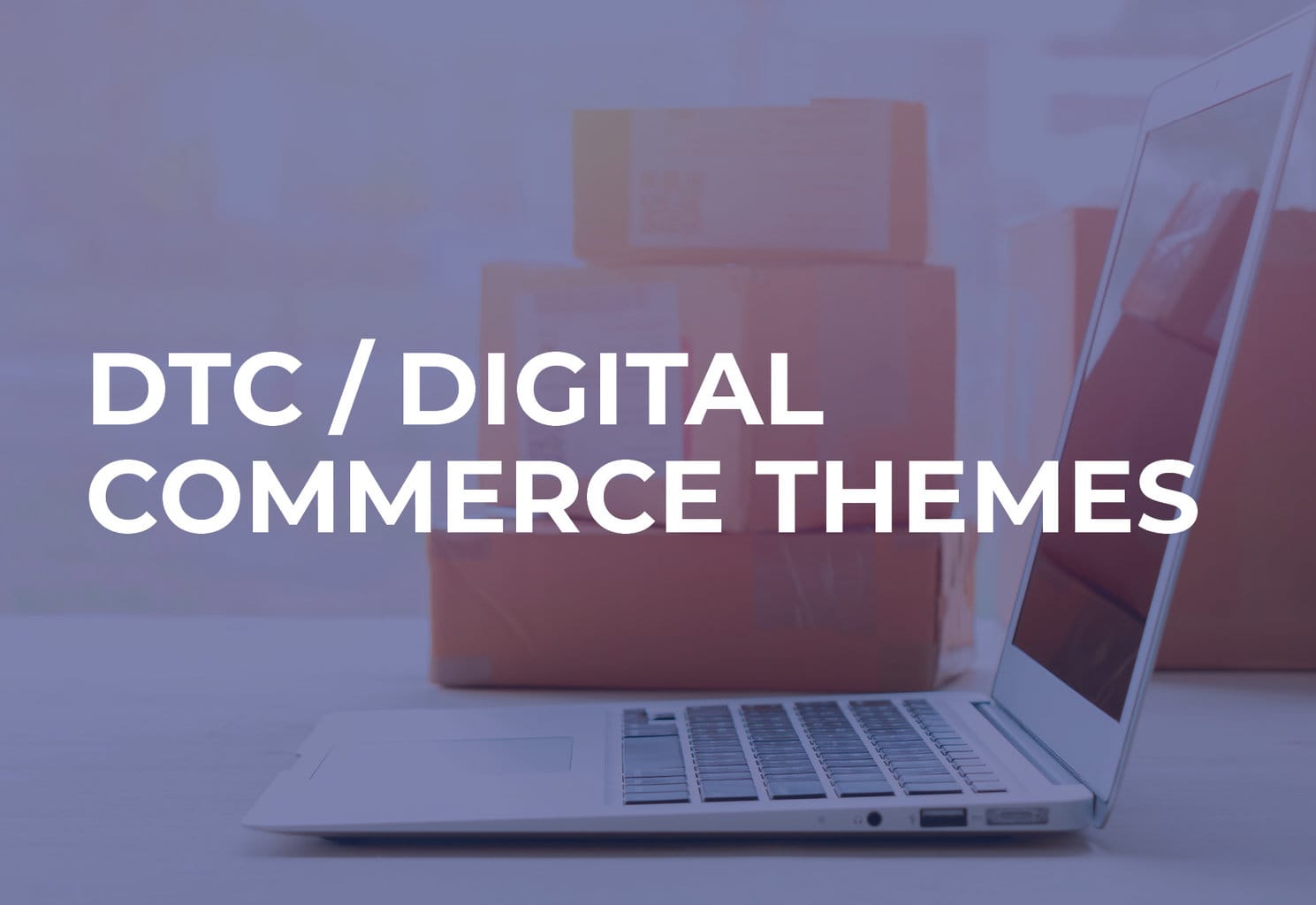 1H 2024 Digital Commerce Themes - Solomon Partners